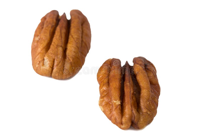 Closeup Two Pecan Peanuts Stock Photos - Free & Royalty-Free Stock ...