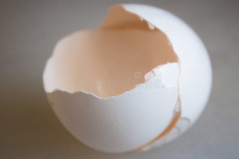 Semi Stacked Half Egg Shells Stock Photo - Image of single, eggshell ...