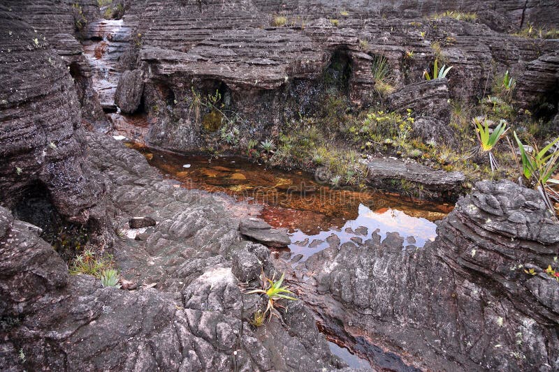 Closeup of Unbelievable Rocky Terrain with Pools of Mount Roraima Stock ...