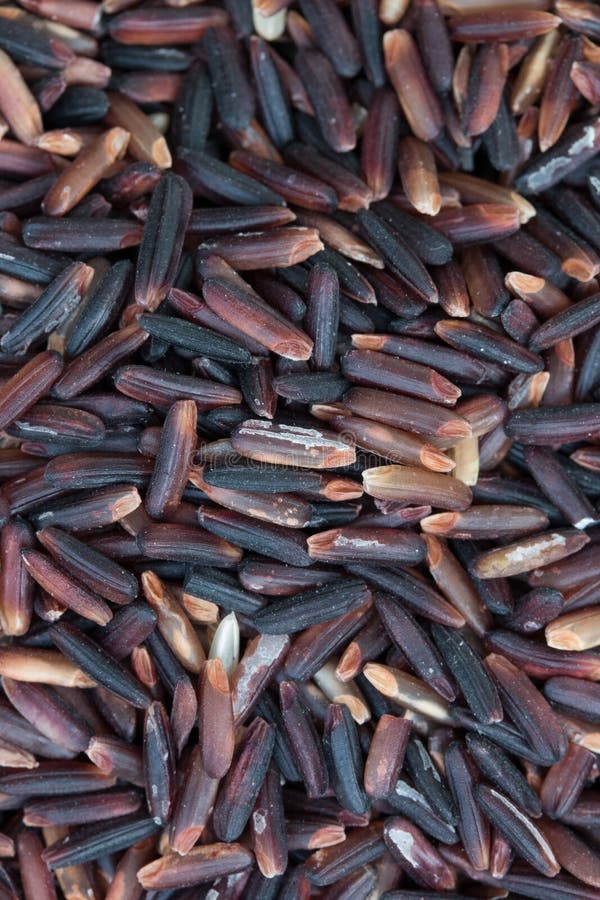 Closeup of Uncooked Chipolata Sausages. Stock Image - Image of ...