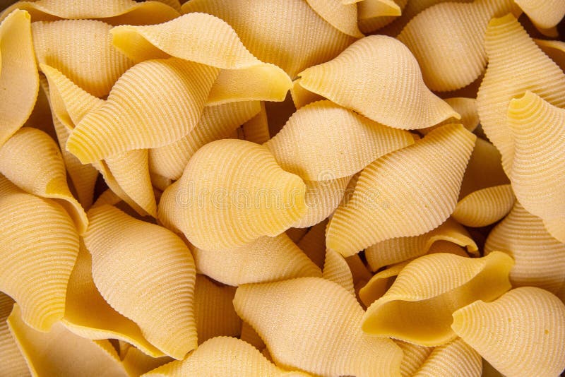 Closeup of Uncooked Italian Pasta - Conchiglie Stock Image - Image of ...