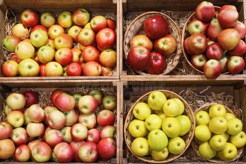 Closeup of Various Apple Fruits Stock Photo - Image of fruit, green ...
