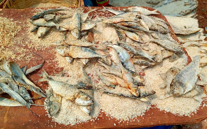 Tropicalized fish-3 stock image. Image of seafood, placing - 272359171