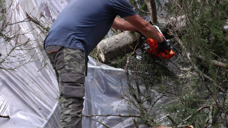 Man Uses Chainsaw To Chop Tree Trunk Stock Video - Video of material ...
