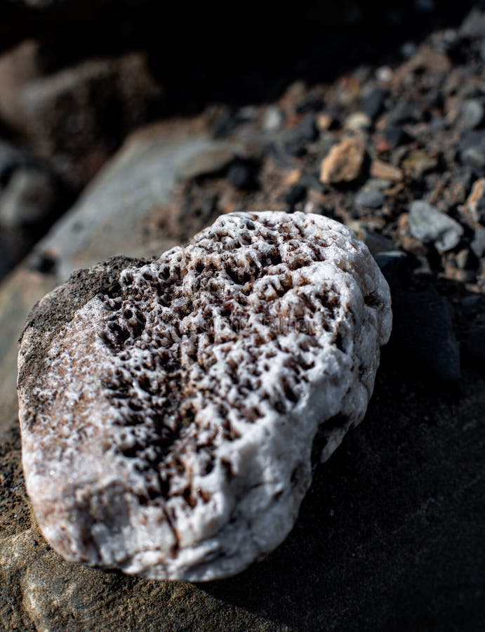 Closeup View of a Beautiful Rock Stock Photo - Image of detail, mineral ...