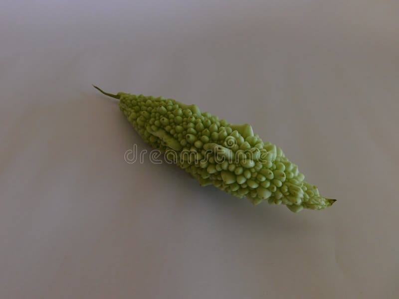 Closeup of a Bitter Guard Isolated on White Background Stock Photo ...