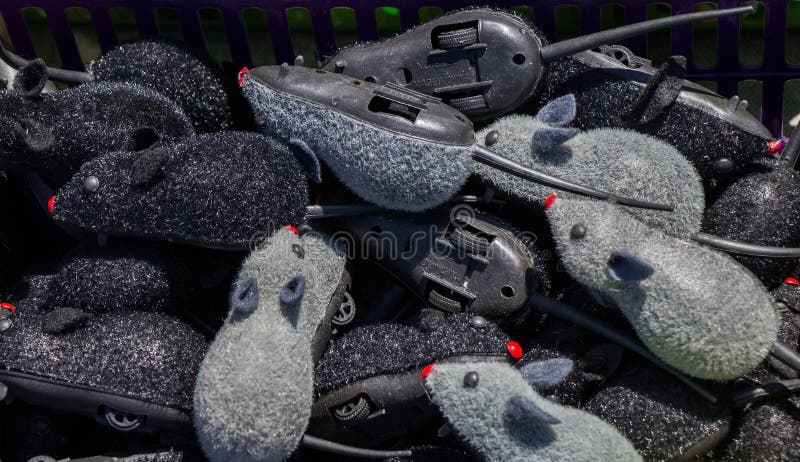 Closeup View of Black and Grey Computer Mice that Look Like Real Mice ...