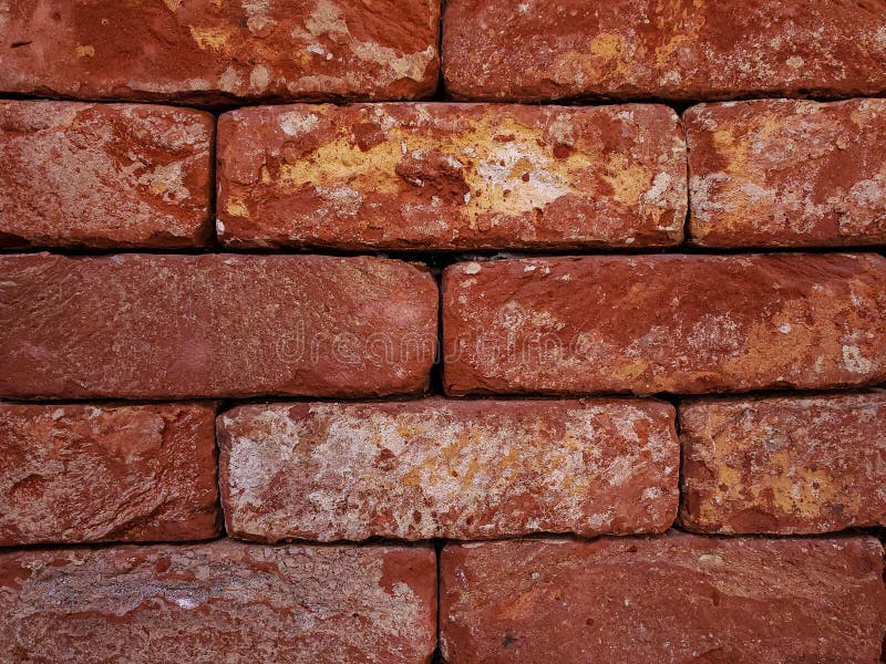 Top View Brick Walk Path and Grass Land Background Stock Photo - Image ...