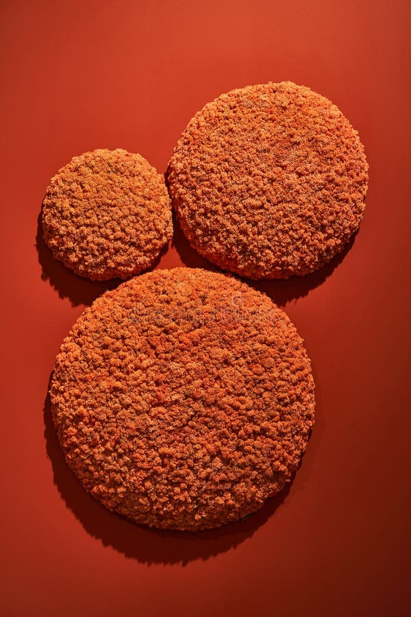 Closeup View at Bright Spongy Round Objects Stock Image - Image of ...