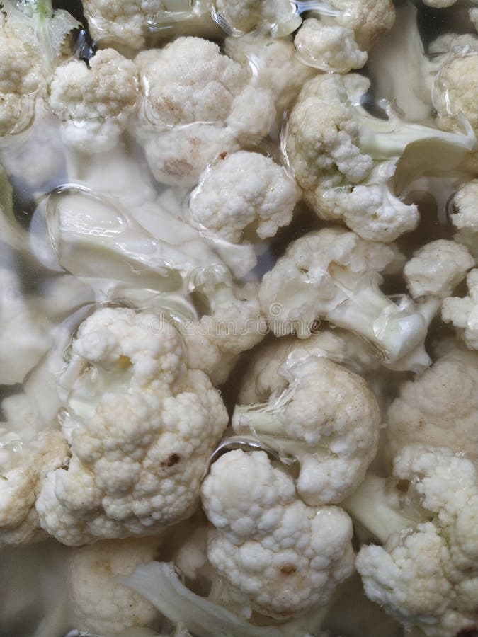 Closeup View of Chopped and Rinsed White Cauliflower , Over Head View ...