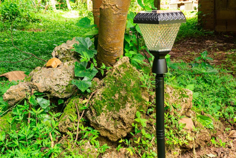 Closeup View Daytime of Led Solar Lamp Stock Photo - Image of close ...
