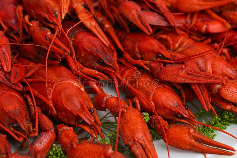 Closeup View of Delicious Red Boiled Crayfish Stock Image - Image of ...