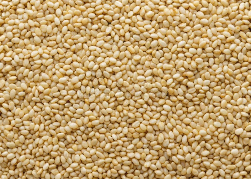 A CloseUp View of a Densely Packed Sesame Seed Carpet a Visual Feast of ...