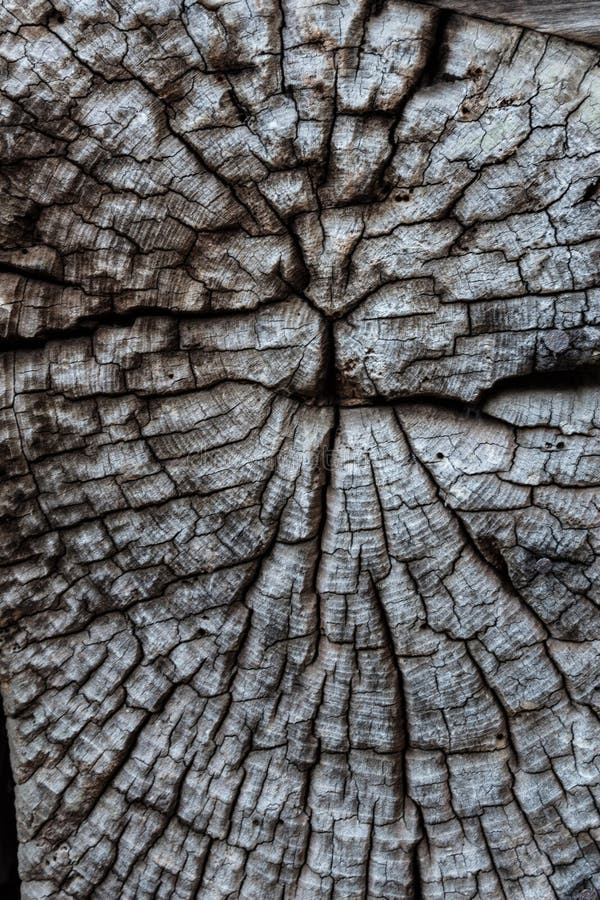Closeup View of End Grain on Old Exterior Wood Beam Stock Image - Image ...