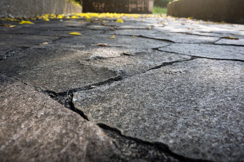 Closeup View of the Footpath in the Park Stock Image - Image of public ...