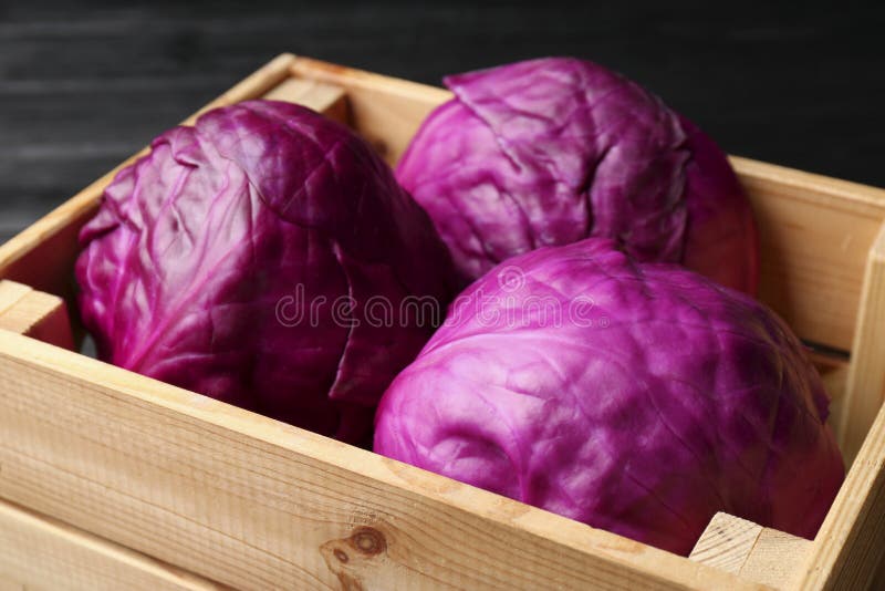 Closeup View of Fresh Red Cabbages in Wooden Crate Stock Photo - Image ...