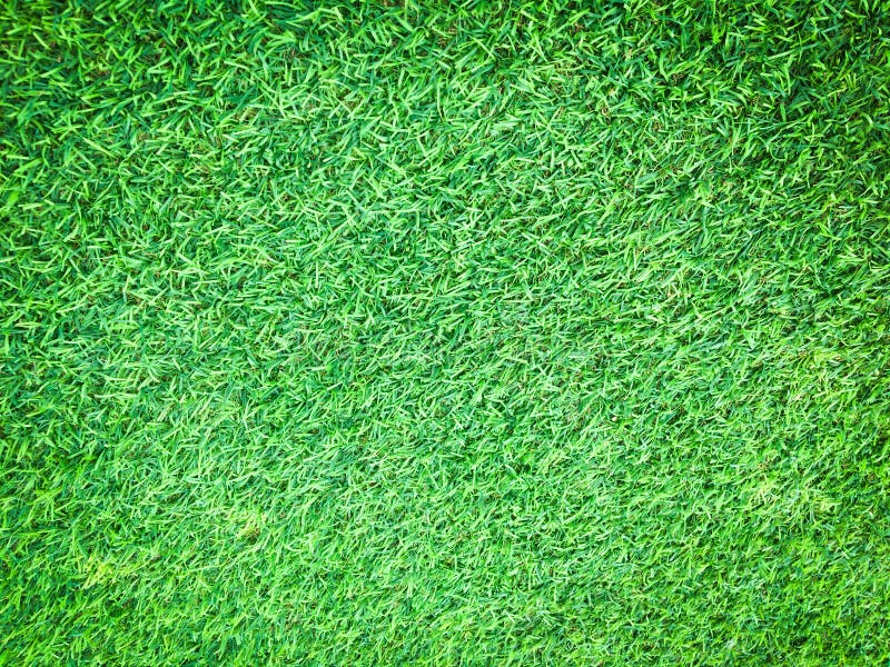 Closeup View of Green Grass Soccer Field Background. Wallpaper for Work ...