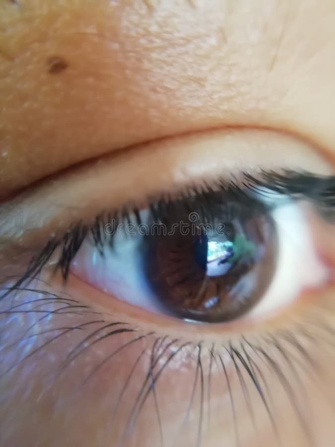 Closeup View of a Human Eye Stock Photo - Image of young, macro: 197890096