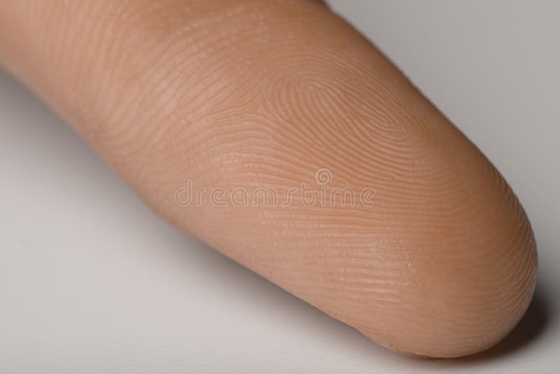 Closeup View of Human Finger on White Background Stock Photo - Image of ...
