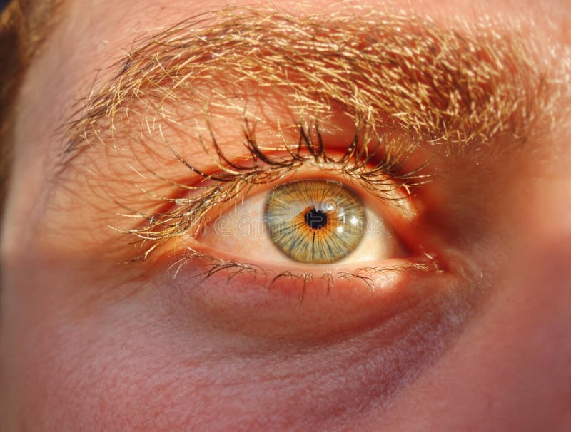 A CloseUp View of an Intricate Human Eye Featuring Unique and Striking ...