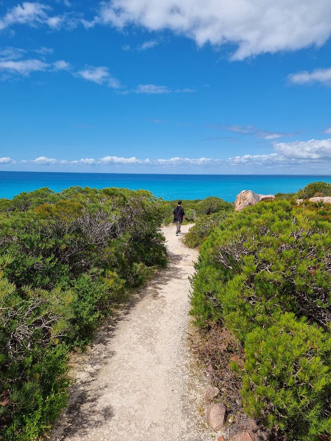 Closeup View of a Man Walking on a Sandy Pathway To the Sea in ...