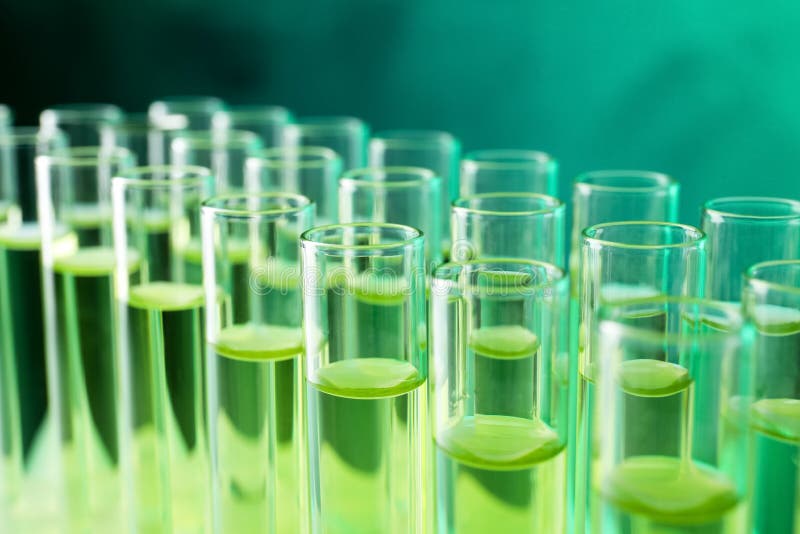 Closeup View of Many Test Tubes with Liquid Stock Photo - Image of ...