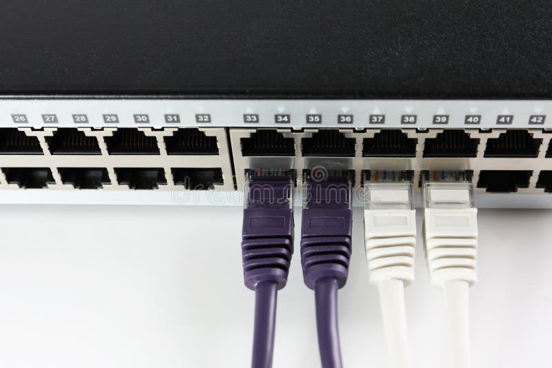 Closeup View of Network Switch with Cables on Light Background ...