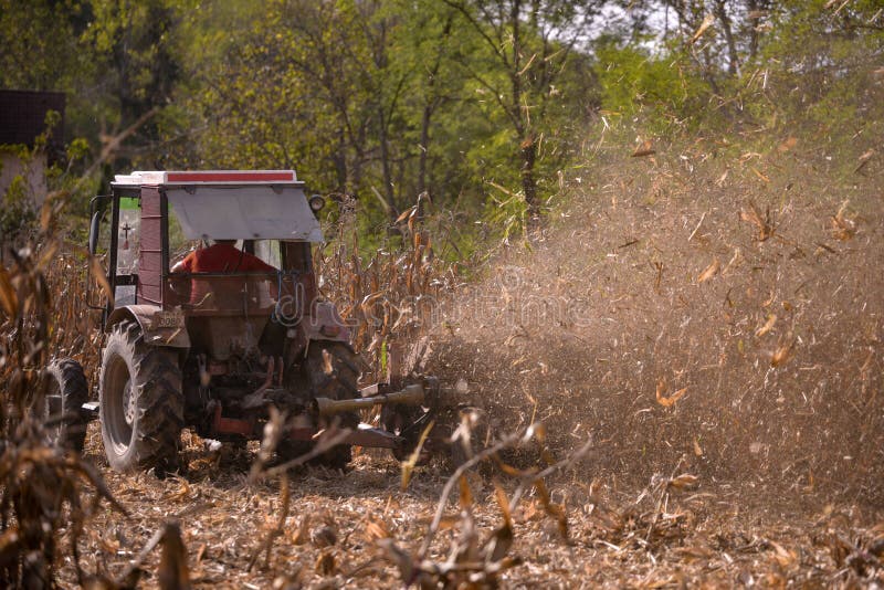 Closeup View of an Old Tractor Chopping a Dry Corn Field Stock Image ...