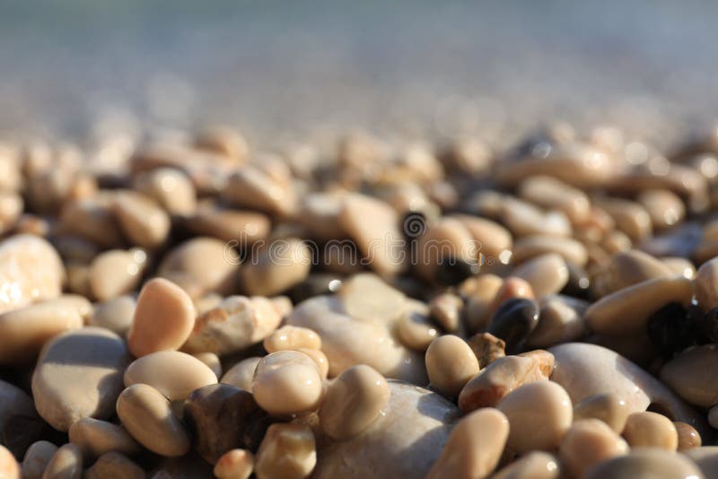 Closeup View of Pebble Beach Stock Image - Image of small, stones ...