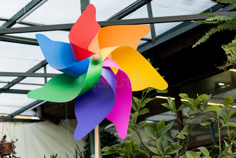 Closeup View of the Rainbow-colored Pinwheel Captured in a Garden Stock ...