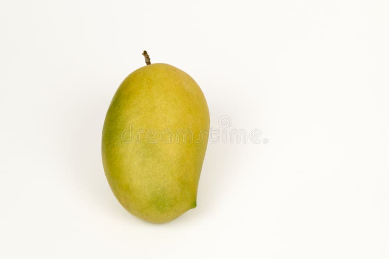 845 Kesar Mango Stock Photos - Free & Royalty-Free Stock Photos from ...