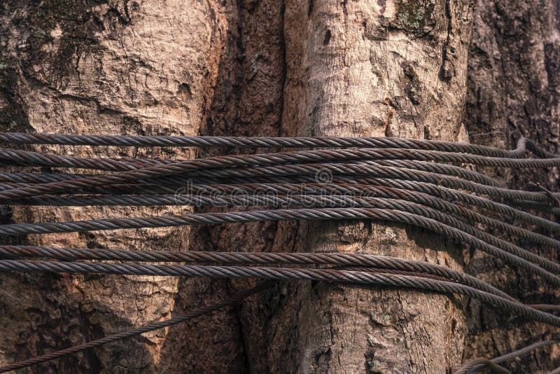 Closeup View of Steel Wire Rope Stock Photo - Image of steel, view ...