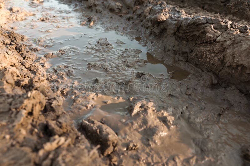 Closeup View of Textured Ground Mud Outdoors Stock Photo - Image of ...