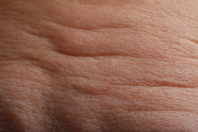 Closeup View of Woman with Normal Skin Stock Photo - Image of texture ...