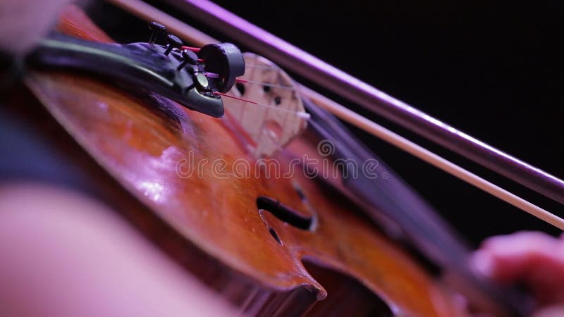 Closeup of a Violin and Hand with a Bow. Symphony Orchestra. Violinists ...