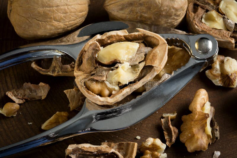 Closeup of Walnut Cracked Open with Nut Cracker Stock Photo - Image of ...