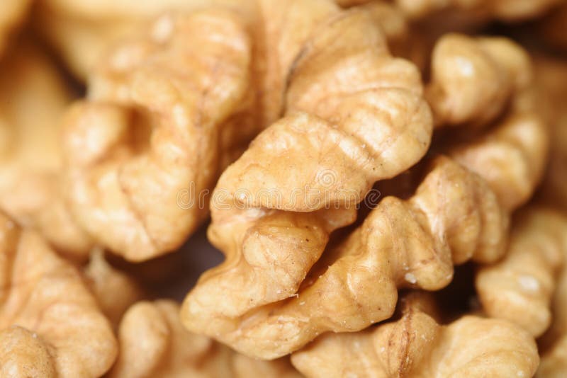 Closeup of Walnut stock image. Image of organic, studio - 49168893