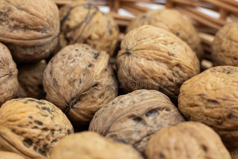 Lots of Walnut on the Table Stock Image - Image of snack, nutshell ...