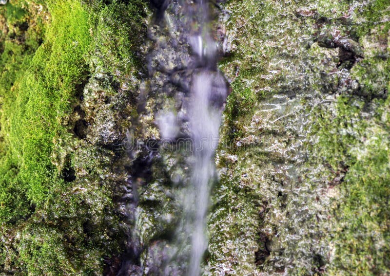 Closeup of Water Flowing from Rock Face, Green Moss Growing in M Stock ...