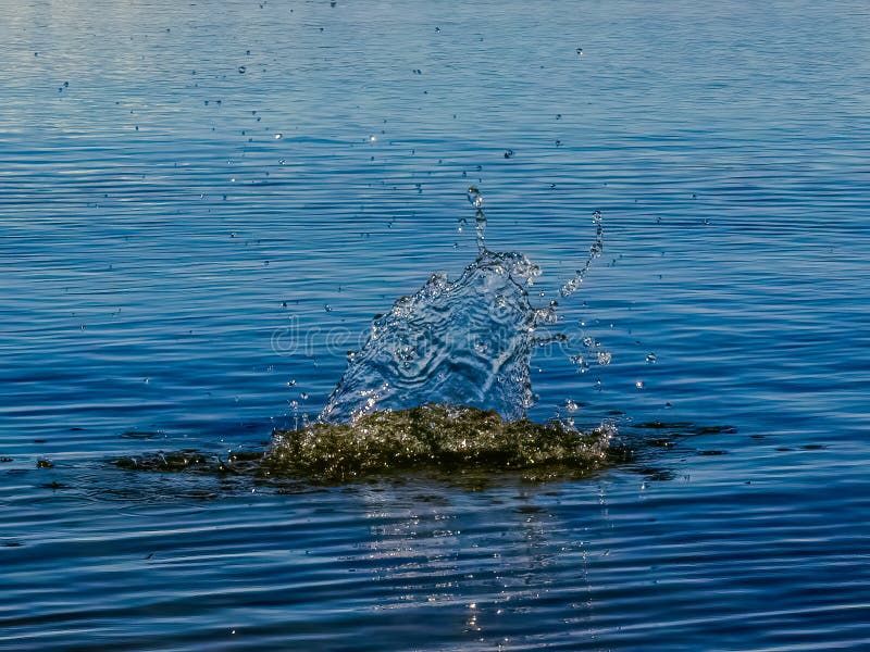 Water Splash in Blue Lake Water Stock Image - Image of blue, dropping ...