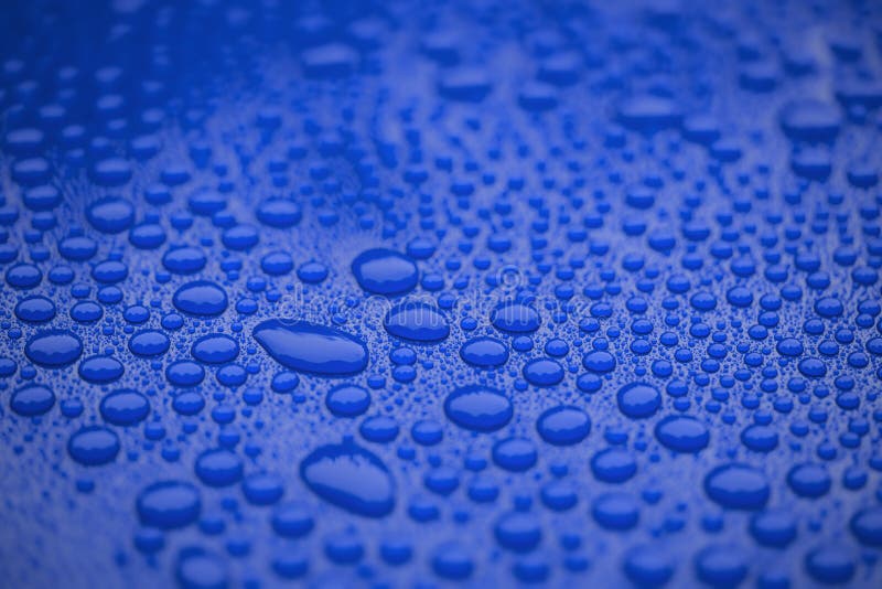 Closeup of Waterdrops on a Grape Leaf Stock Image - Image of autumn ...