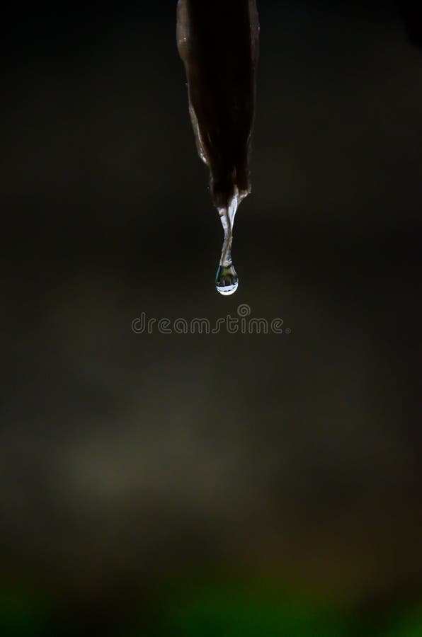 Closeup of a Waterdrops Falling from the Rope. after Rain Water Droplet ...