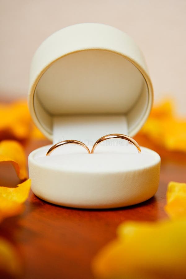 Closeup of Wedding Rings in a Box Stock Photo - Image of gold, white ...