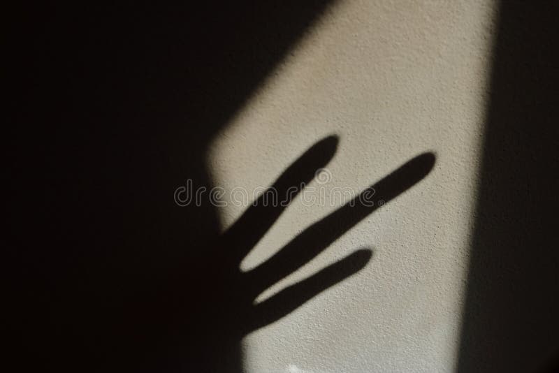 The weird shadows stock photo. Image of animal, abstract - 161276174