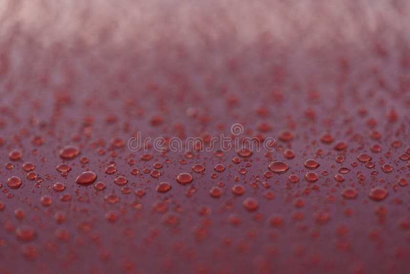 Closeup Wet Red Car Paint Surface with Hydrophobic Ceramic Coating ...