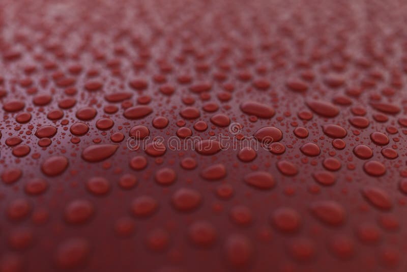 Closeup Wet Red Car Paint Surface with Hydrophobic Ceramic Coating ...