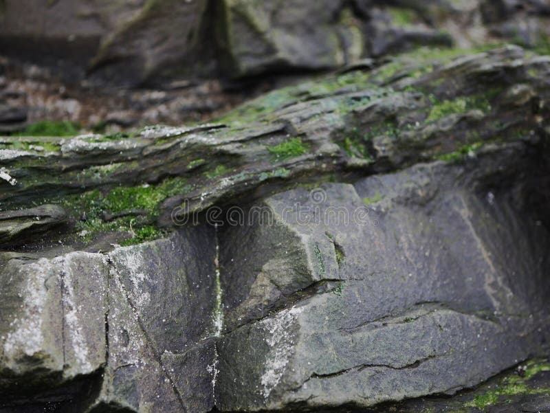 102 Cliffside Texture Stock Photos - Free & Royalty-Free Stock Photos ...