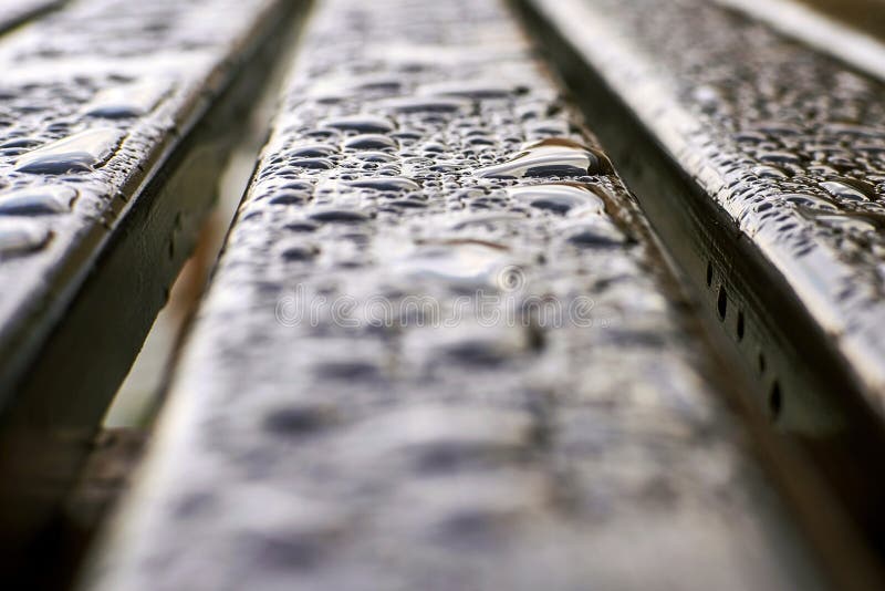 Closeup Wet Wood Bench after Rain Stock Photo - Image of fall, abstract ...