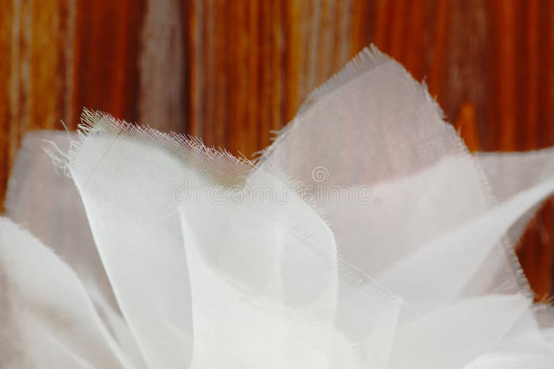 Closeup of White Chiffon Fabric Stock Photo - Image of fashion, cream ...