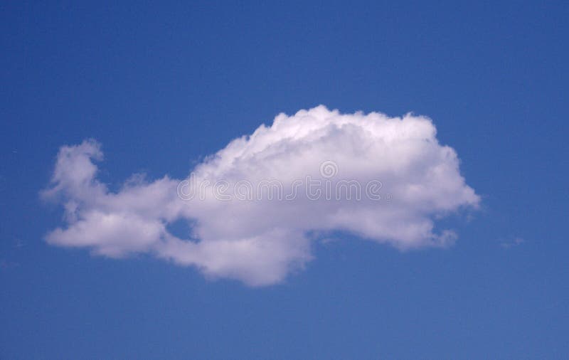 Closeup of a White Floating Cloud in the Blue Sky Stock Photo - Image ...